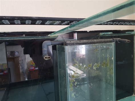 Herbie Overflow Help Reef2reef