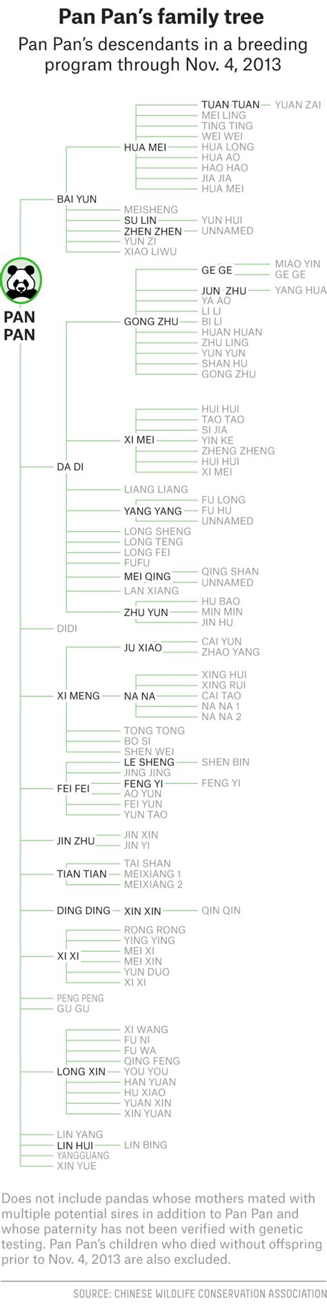 The Complicated Legacy Of A Panda Who Was Really Good At Sex Fivethirtyeight