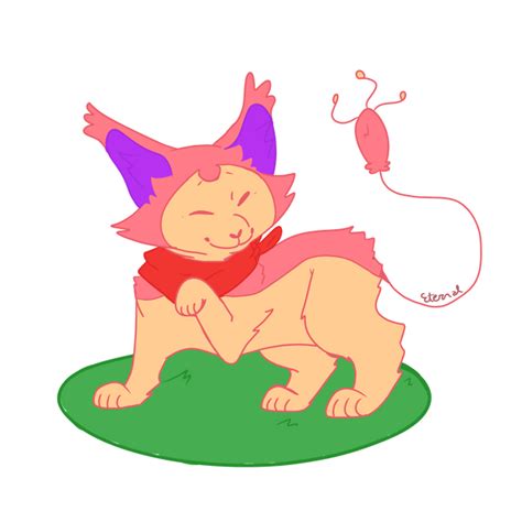 Im Drawing All Of The Starters In Pmd Dx This Is My First One Skitty Who Do You Want To See