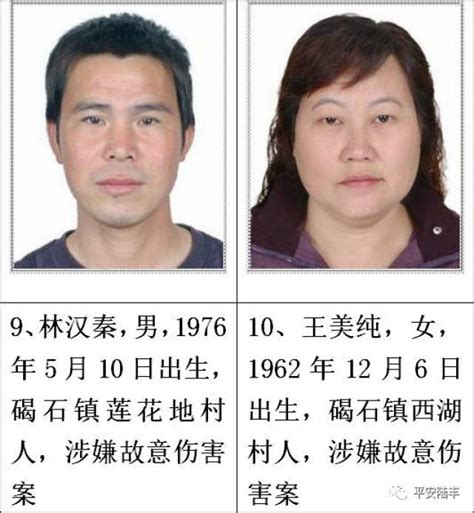 碣石镇温进益通缉令21第3页大山谷图库