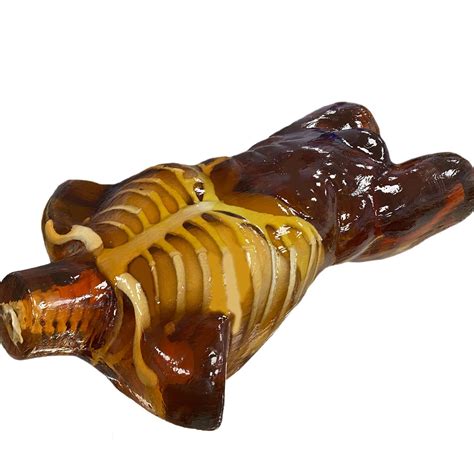 Testphantom Für Ultraschalluntersuchungen Us A02 True Phantom Solutions Für Röntgenzwecke