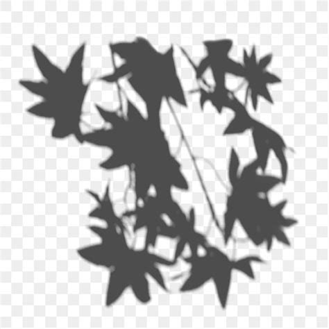 Tree Shadow PNG Images Free Photos PNG Stickers Wallpapers Backgrounds Rawpixel
