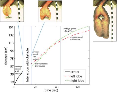 Snapshots Capturing The Advance Of Basaltic Lava Flows At The Syracuse Download Scientific
