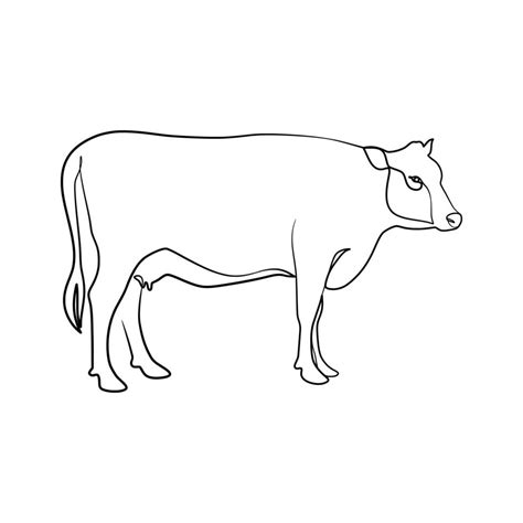 Cow Continuous Line Art Design 17286774 Vector Art At Vecteezy