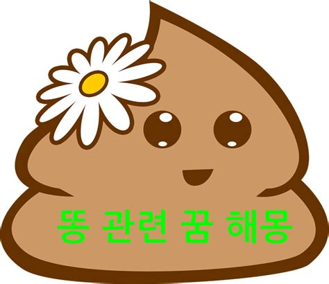 설사똥꿈 해몽 똥 관련 꿈 풀이