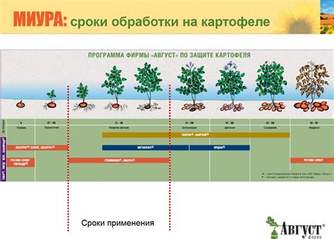 Гербициды для картофеля: инструкция по обработке после всходов ...