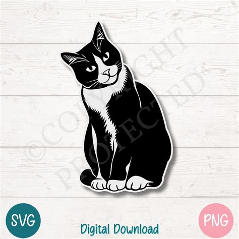 Tuxedo Cat Svg Png Cut Files For Cricut Silhouette Digital Download