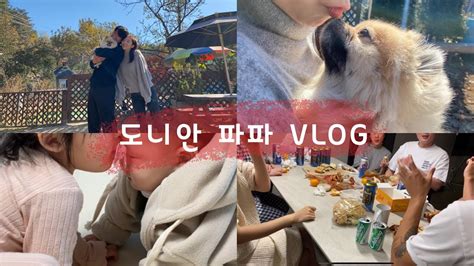 Vlog 도니안 일상 브이로그ㅣ시간제한데이트ㅣ브이로그ㅣ부부ㅣ데이트ㅣ애견카페ㅣ강아지ㅣ부부이야기ㅣ데이트코스 Youtube