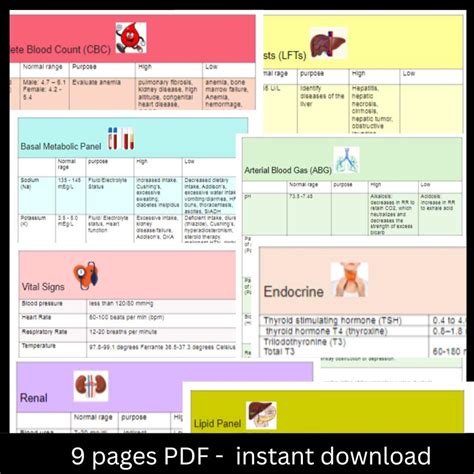 Lab Value Cheat Sheet Abg Memory Tricks 9 Pages Pdf Instant