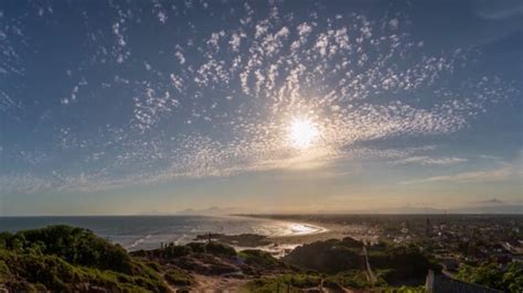 Tree Sea Sky Free Stock Video Pixabay