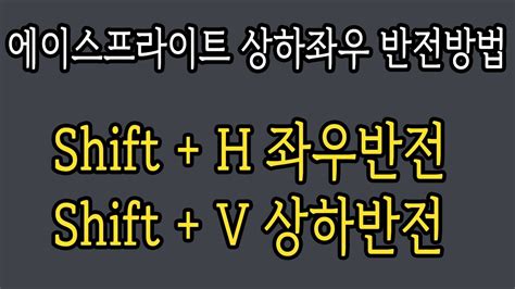 썸네일만 보면됨 클릭할 필요도 없음 에이스프라이트 Aseprite 상하좌우 반전 방법 Shift H Shift V Youtube