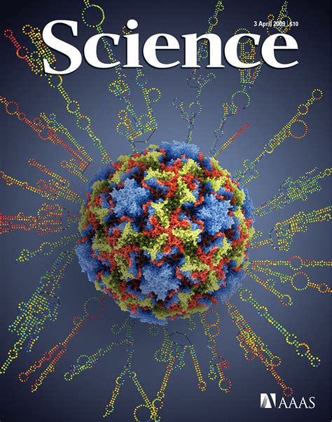 On The Origin Of Flowering Plants Science