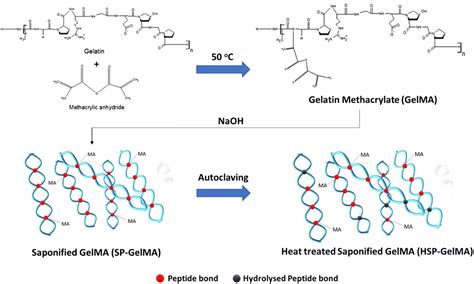Improving Printability Of Hydrogel Based Bio Inks For Thermal Inkjet
