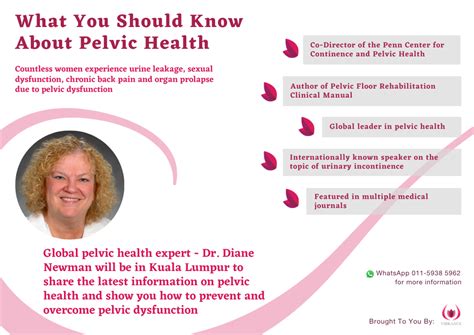 What You Should Know About Pelvic Health Vibrance