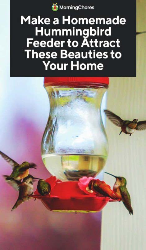 16 Diy Homemade Hummingbird Feeder Ideas To Attract Them To Your Home