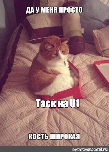 Создать мем кость широкая Картинки Meme