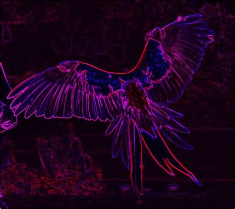 C How To Gradient Based Edge Detection Software By Default