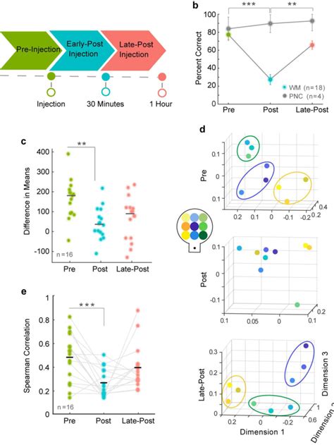 Ketamine Manipulation Disrupts Neural Sequences And Working Memory A