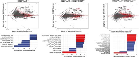 Gene Expression Analysis Of Control And Dko B Cell Subsets Ma Plots And