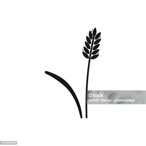 밀 귀 보리 또는 쌀 검은 실루엣 맥주 또는 베이커리 로고 격리 된 요소 라벨 및 엠블럼에 대 한 유기농 농장 요소 빵 포장 장식 개체 익은 작은 이삭 벡터 일러스트 레이