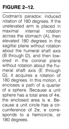Uw Shoulder And Elbow Academy On The Hypotheses That Determine The Definitions Of Glenohumeral