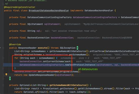 sharding proxy when execute treadonly true all datasource