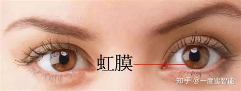 我猜你一定不知道虹膜识别在哪儿用的最广 知乎
