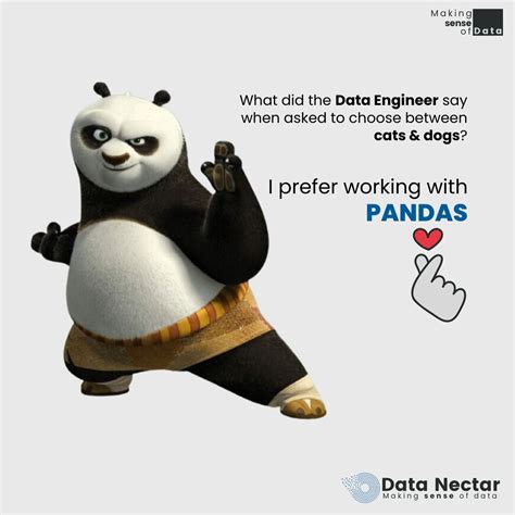 Data Nectar On Linkedin Pandas Techsavvy Dataengineers Pandas Datawrangling Analytics