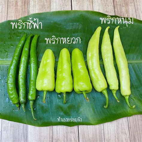 ชนิดของพริกที่หลายๆคน สับสน แกลเลอรีที่โพสต์โดย Tamaengaroijang Lemon8