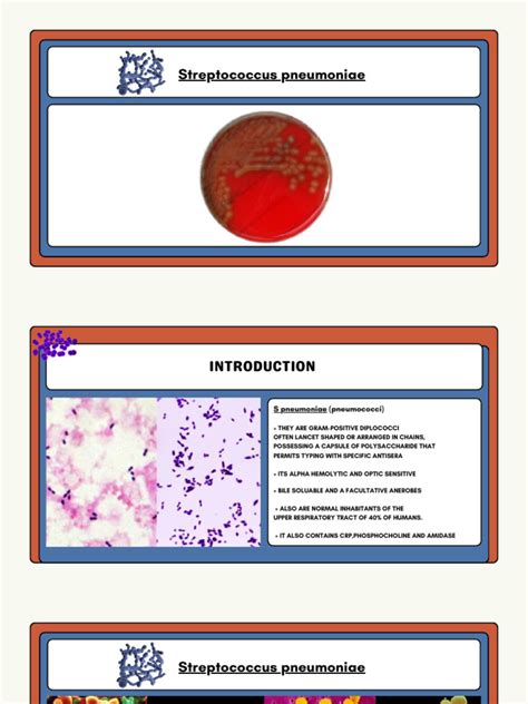 Strep Pneumoniae Pdf