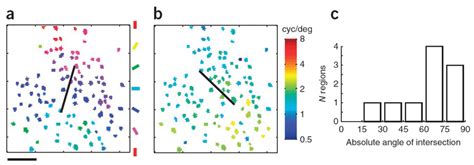 Measuring The Angle Of Intersection Between Micro Maps Of Orientation Download Scientific