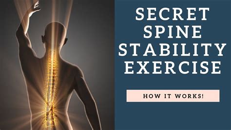 Secret Spine Stability Exercise To Fix Back Pain How To Workout The