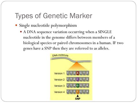 Ppt As Biology Powerpoint Presentation Free Download Id 5707915