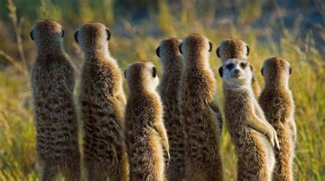 Юмор в картинках смешные мемы и смех до слез 14 01 24