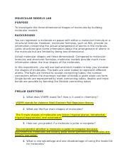 Molecular Models Lab Docx MOLECULAR MODELS LAB PURPOSE To Investigate The Three Dimensional
