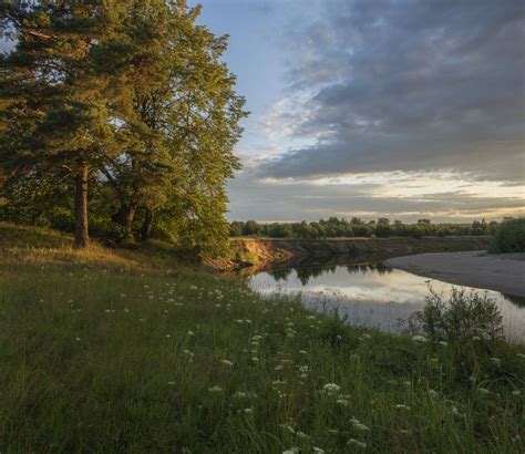 Красивое Варнет