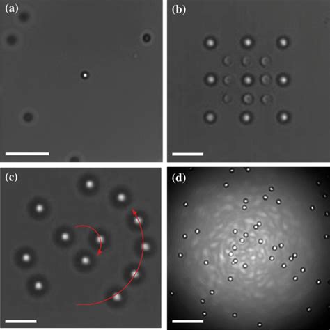 Optical Manipulation Examples A A Particle Trapped In A Single Beam