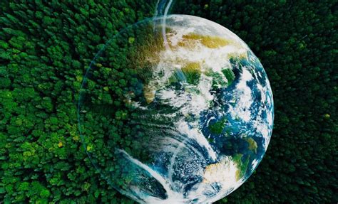 Stunning Archaeopteryx Fossil Found Intact — Scientists Are Speechless