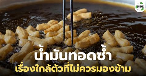 30 สูตร “เมนูปลา” ต้มนึ่งผัดทอด อร่อยง่ายไม่จำเจ ทานได้ทุกคน