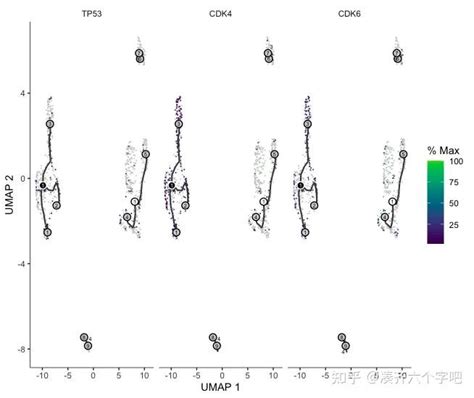单细胞拟时序 轨迹分析monocle3流程学习和整理 知乎