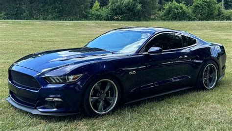 2015 Ford Mustang Gt 50th Anniversary Edition Vin 1fa6p8rf9f5501501
