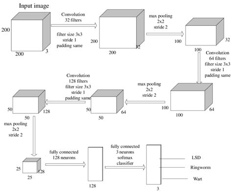 Classification Model Architecture Lsd Is A Lumpy Skin Disease