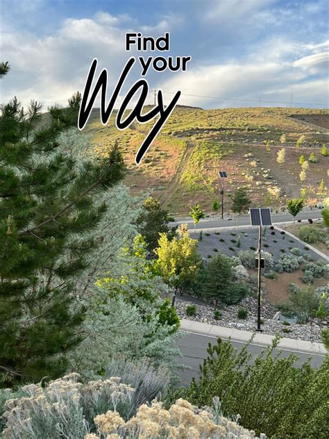 Tamara Kanaan On Linkedin Everyone Has Their Own Unique Journey 🛣️ Find Your Own Path