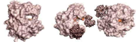 Enzyme Discovery