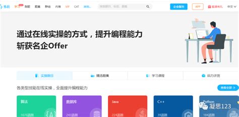 学编程找大厂求职刷题的8个网站 知乎