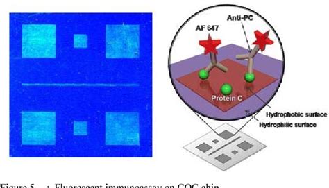 Figure 1 From A Disposable Polymer Waveguide Lab On A Chip For Real Time Detection Of Protein C
