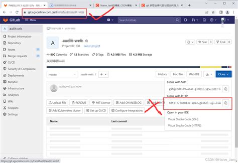 用git Clone 在gitlab上拷贝代码，拉不下来git Clone Gitlab Csdn博客