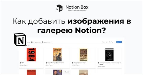 Notion Ai Что это такое и как им пользоваться • Notionbox