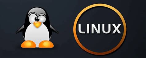 Linux 基本使用linux的基本使用 Csdn博客