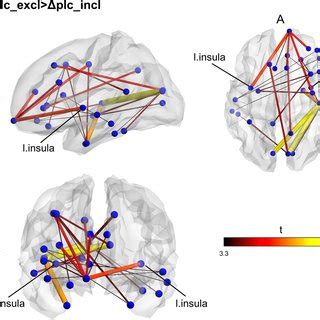 Within Groups Functional Connectivity Comparison Between Exclusion And